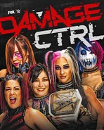 Damage CTRL | Villains Wiki | Fandom