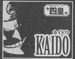 Kaido (One Piece)/Gallery | Villains Wiki | Fandom