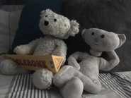 Bear (Bear*) | Villains Wiki | Fandom