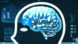 Sibyl System | Villains Wiki | Fandom