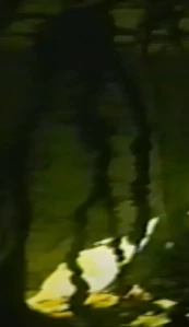 The Bacteria | Villains Wiki | Fandom