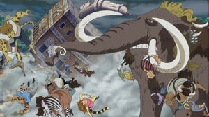 Jack (One Piece) | Villains Wiki | Fandom