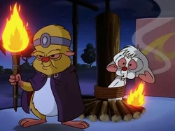 Pinky And The Brain Snowball Acme Toon Fighters Pinky And The Brain