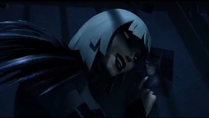 Magpie (DC)/Gallery | Villains Wiki | Fandom