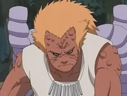 Jirobo | Villains Wiki | Fandom