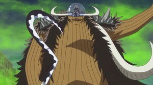 Jack (One Piece) | Villains Wiki | Fandom