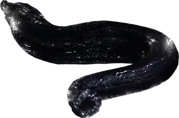 Leeches | Villains Wiki | Fandom