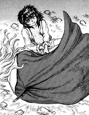Griffith (Berserk)/Synopsis | Villains Wiki | Fandom