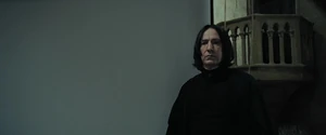 Severus Snape/Gallery | Villains Wiki | Fandom
