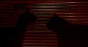 Smokey (Stuart Little)/Gallery | Villains Wiki | Fandom