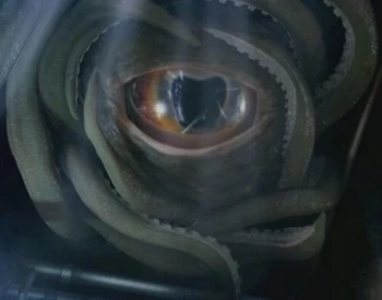 Bane Mother | Villains Wiki | Fandom