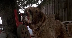 Cujo | Villains Wiki | Fandom