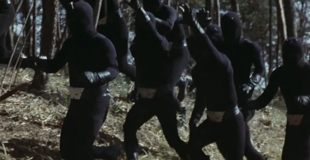 Ari Commandos | Villains Wiki | Fandom