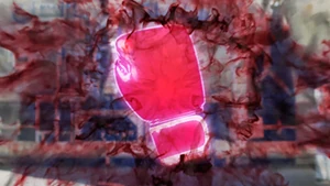 Boxing World | Villains Wiki | Fandom