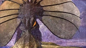 Cetus (Sinbad)/Gallery | Villains Wiki | Fandom