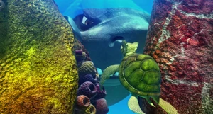 Troy (The Reef)/Gallery | Villains Wiki | Fandom