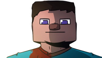 Minecraft Steve Face