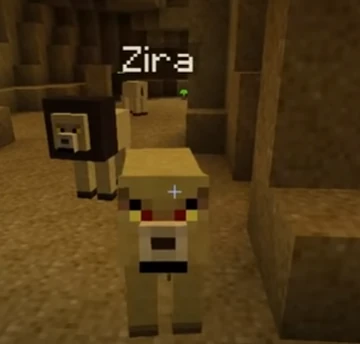 Timón Minecraft Profundo