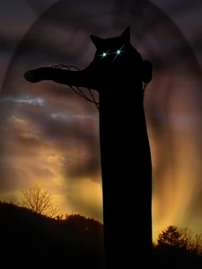 TacgnoL/Gallery | Villains Fanon Wiki | Fandom