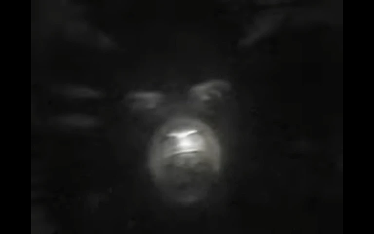 Hand Demon (REAL DEMONS CAUGHT ON TAPE) | Villains Fanon Wiki | Fandom