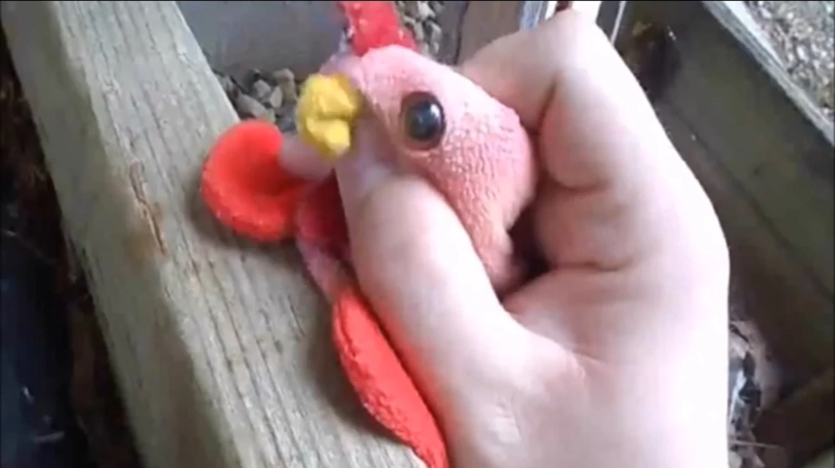 Strut (Beanie Babies) | Villains Fanon Wiki | Fandom