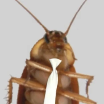 Boss Roach (Dave Lore) | Villains Fanon Wiki | Fandom