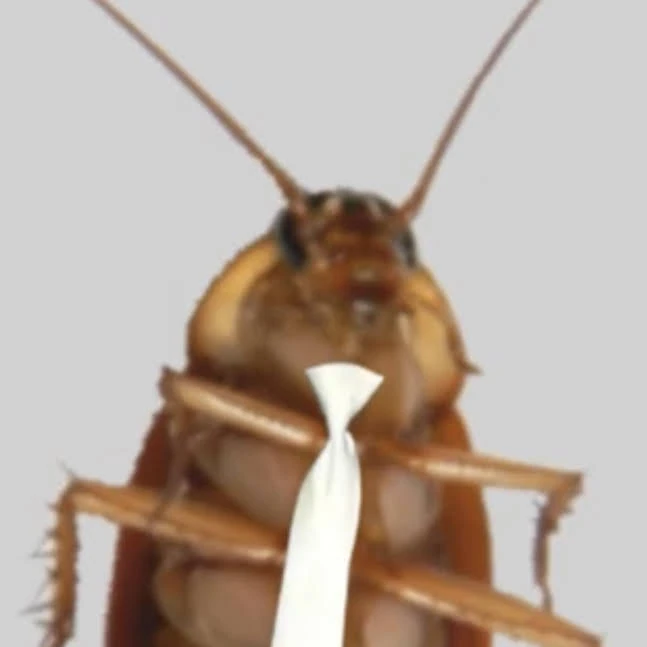 Boss Roach (Dave Lore) | Villains Fanon Wiki | Fandom