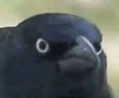 Crow Of Judgment | Villains Fanon Wiki | Fandom