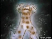 The Bunyip | Villain Song Wiki | Fandom