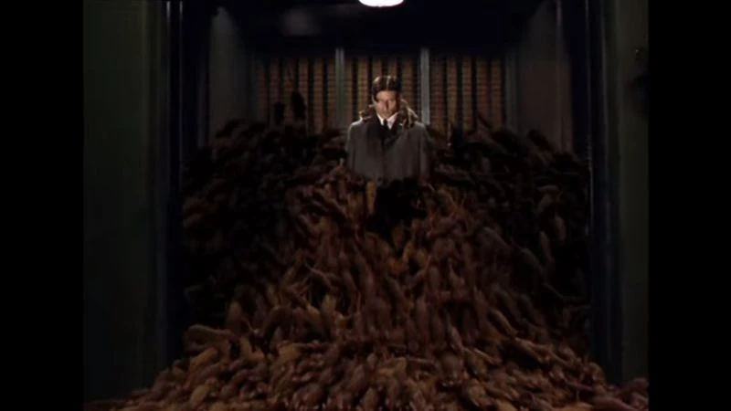 Rats (Willard) | Disney Versus Non-Disney Villains Wiki | Fandom