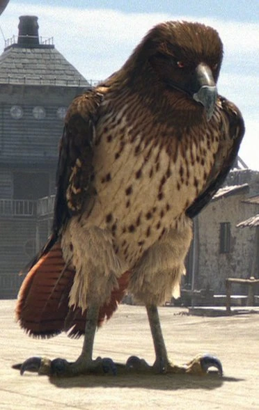 Hawk (Rango) | Disney Versus Non-Disney Villains Wiki | Fandom