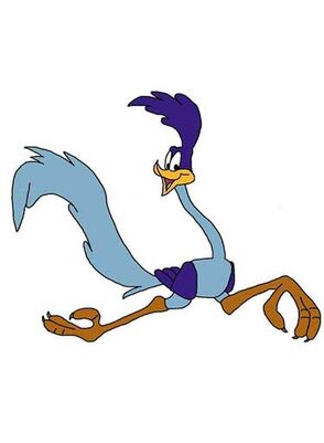Road Runner | Disney Versus Non-Disney Villains Wiki | Fandom