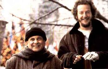 Harry and Marv | Disney Versus Non-Disney Villains Wiki | Fandom