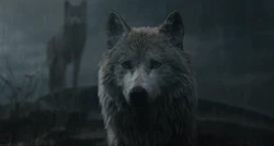 Raksha (The Jungle Book) | Disney Versus Non-Disney Villains Wiki | Fandom