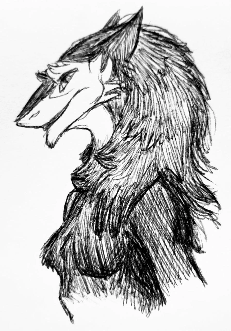 Astis Rolsani | Vilous Fandom Wikia | Fandom