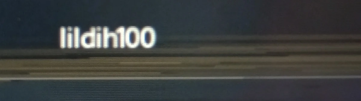 Lildih100 | Vin Wiki | Fandom