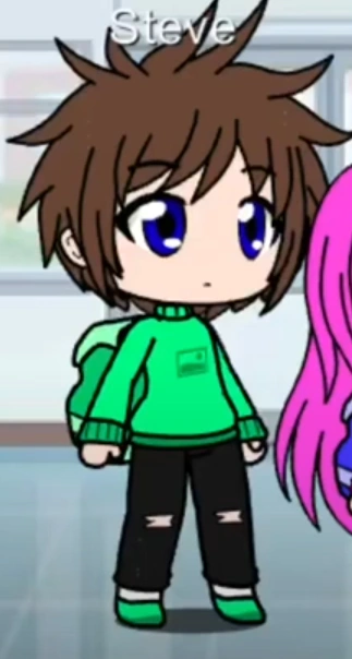Steve | Vincentgamingyt Wiki | Fandom