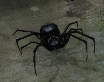 Black Soldier Spider - Official Vindictus Wiki