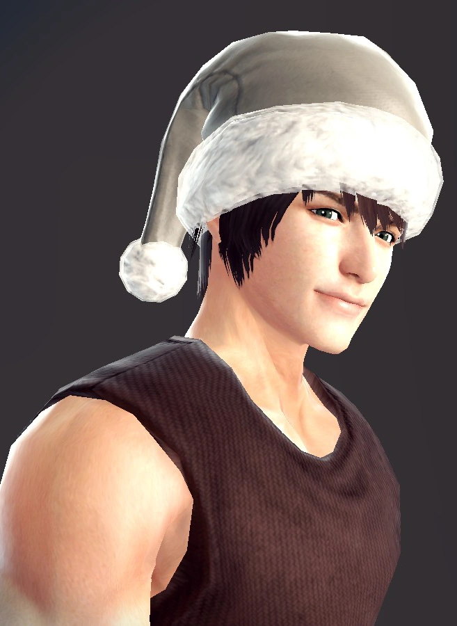 Santa Claus Hat - Official Vindictus Wiki