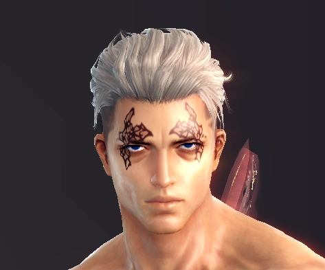 Soaring Bird - Official Vindictus Wiki