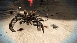 Giant Cloaking Spider - Official Vindictus Wiki