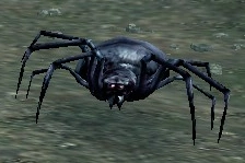 Infected Spider - Official Vindictus Wiki