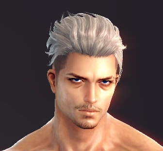 Suave Beard (Grimden) - Official Vindictus Wiki