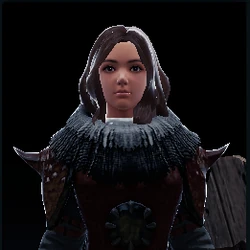 Vindictus Noblesse Armor