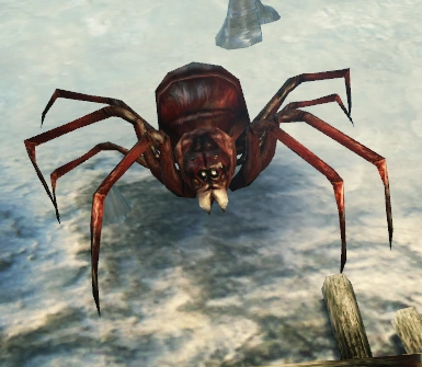 Red Spider - Official Vindictus Wiki