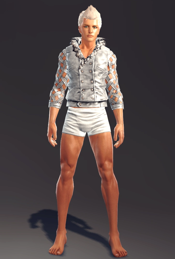 Swift Mail - Official Vindictus Wiki