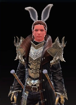 Superior Bunny Ear Headband - Official Vindictus Wiki