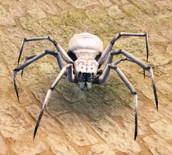 White Spider - Official Vindictus Wiki