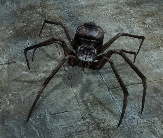 Black Spider - Official Vindictus Wiki