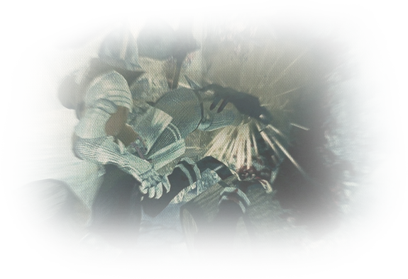 Game Feature | Vindictus Wiki | Fandom